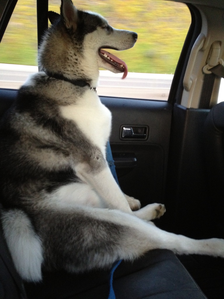 IMG_1064 | DANIEL M.T. FESSLER