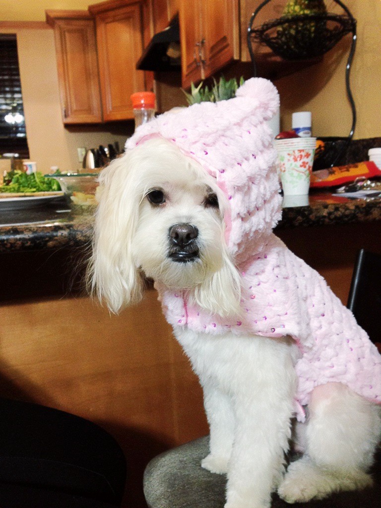 IMG_6857 | DANIEL M.T. FESSLER